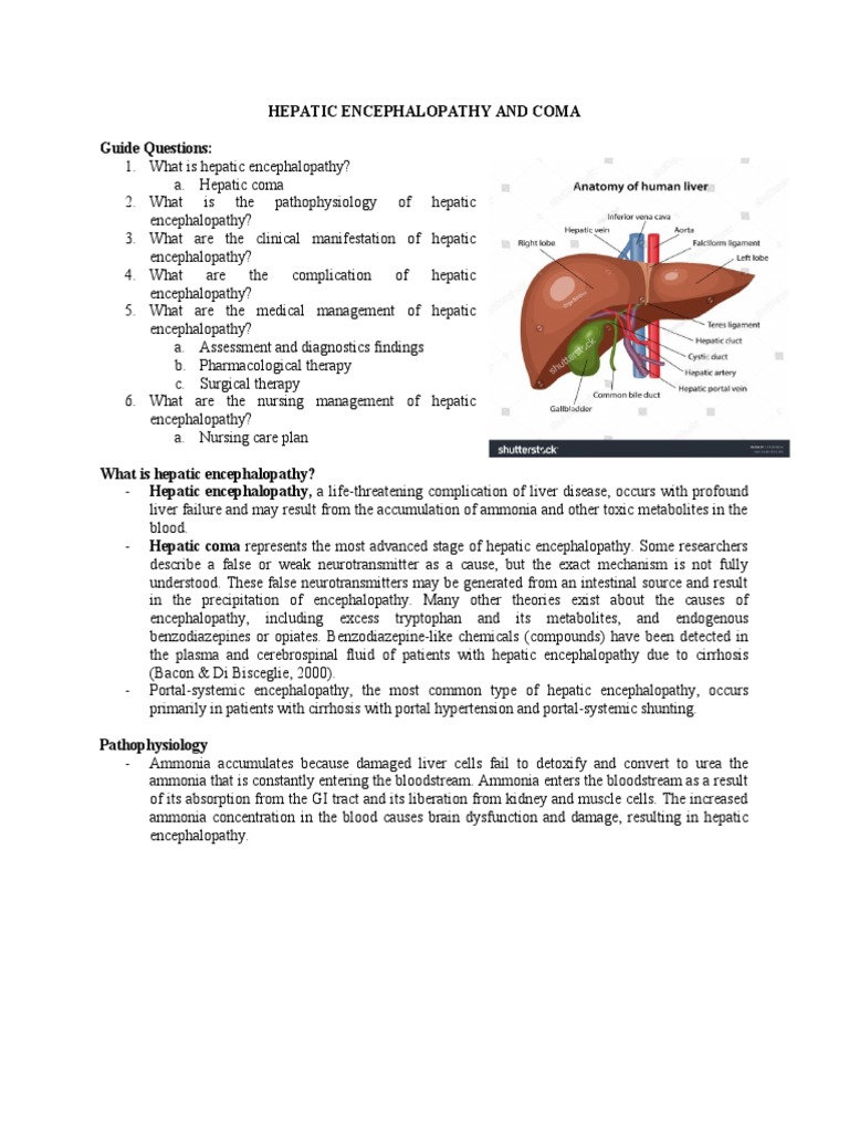 Hepatic Encephalopathy and Coma | PDF | Liver | Clinical Medicine