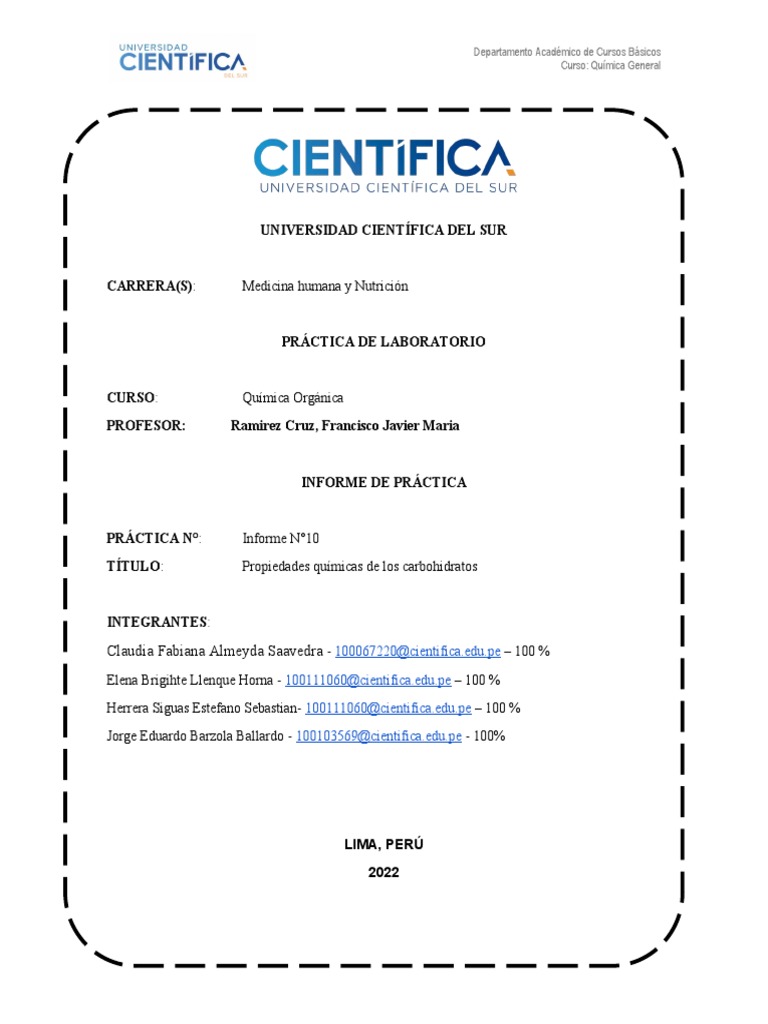 Informe N°10 de Práctica 2022-2 | PDF