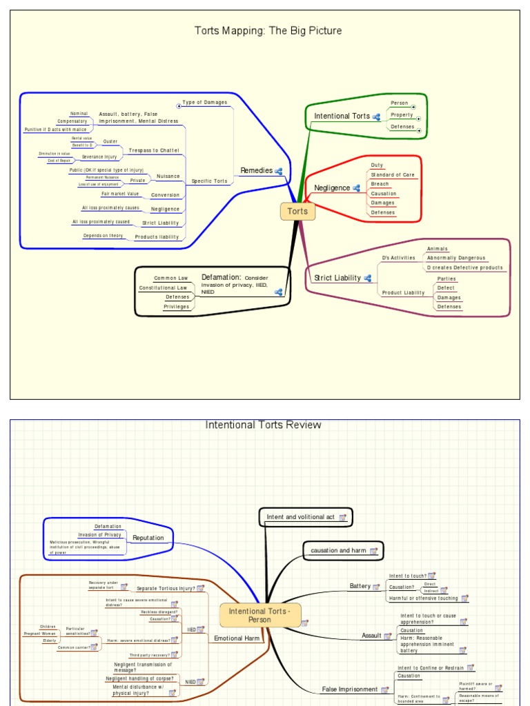 Torts Overview Chart | Download Free PDF | Tort | Defamation