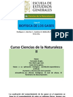 SCIP S. Screening Del Deterioro Cognitivo en Psiquiatria | PDF ...