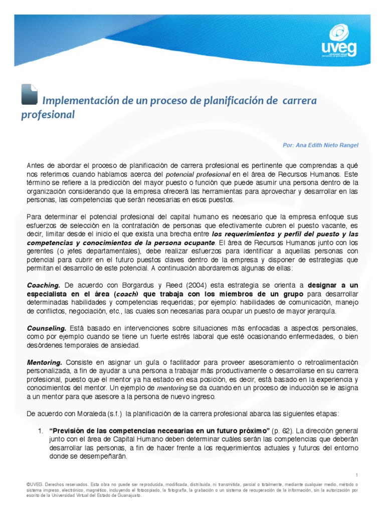 Implementación de Un Proceso de Planificación de Carrera Profesional | PDF