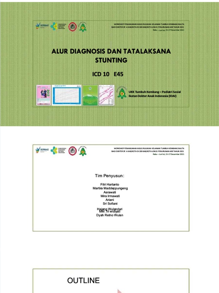 PDF 5 Ws Rujukan Kemenkes Alur Tatalaksana Stunting Compress | PDF