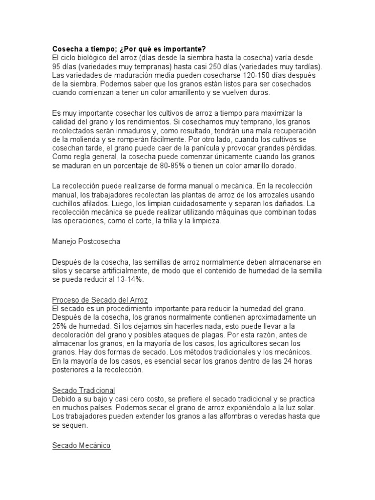 Importancia de la Cosecha del Arroz | PDF | Cosecha | Arroz