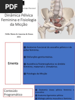 Tipos de Pelve e Suas Características | PDF