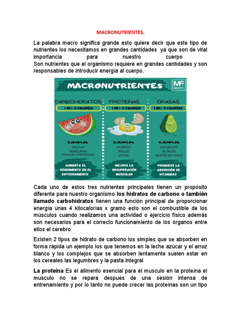 MACRONUTRIENTES | PDF | Nutrientes | Proteínas