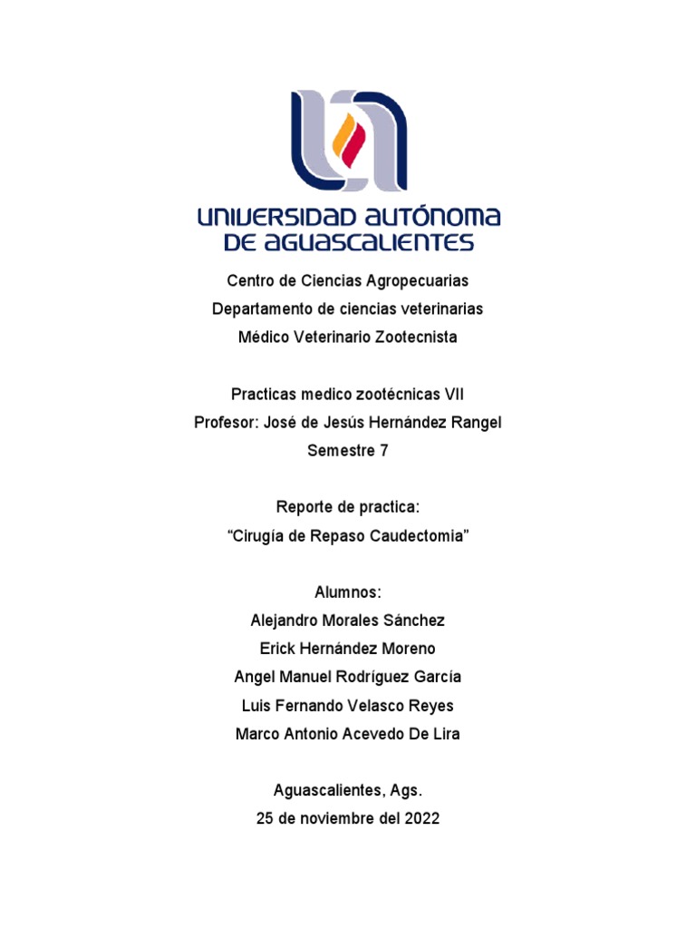 Reporte de práctica de caudectomía terapéutica en perro | PDF | Cirugía ...