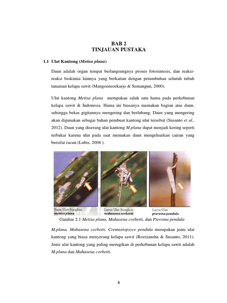 Metisa Plana 1 | PDF