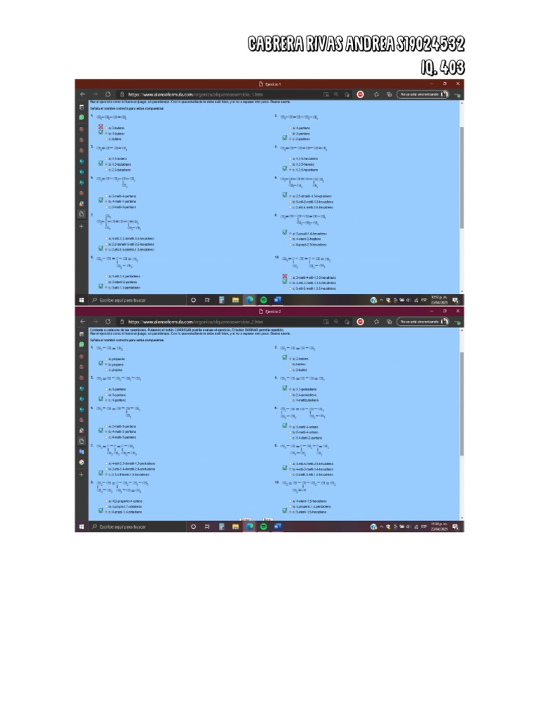 CabreraAndrea QOBQ-A9 | PDF