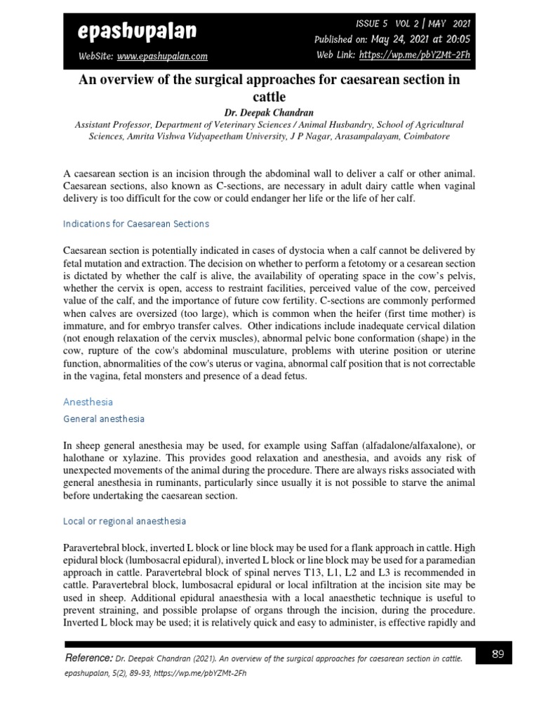 Caesarean Section Surgical Approaches in Cattle | PDF | Caesarean ...