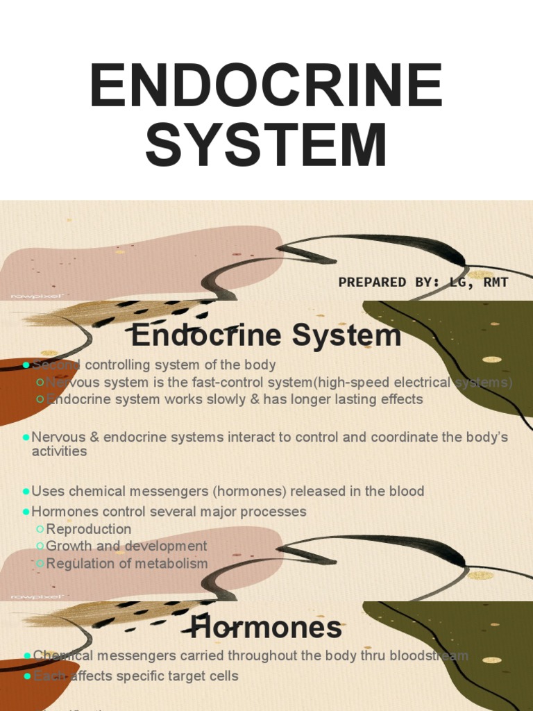 Endocrine System PPT Session 12-13 | PDF | Endocrine System | Adrenal Gland