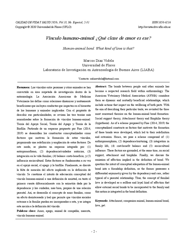 ¿Que Clase de Amor Es Este | PDF | Teoría de apego | Las emociones