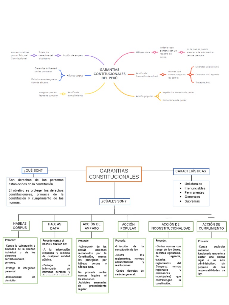 Garantías Constitucionales Básicas Pdf Constitución Instituciones