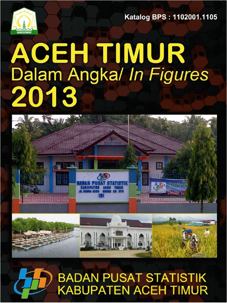 Aceh Timur Dalam Angka 2013 | PDF