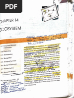 Class 12 - P Block NCERT Highlighted | PDF