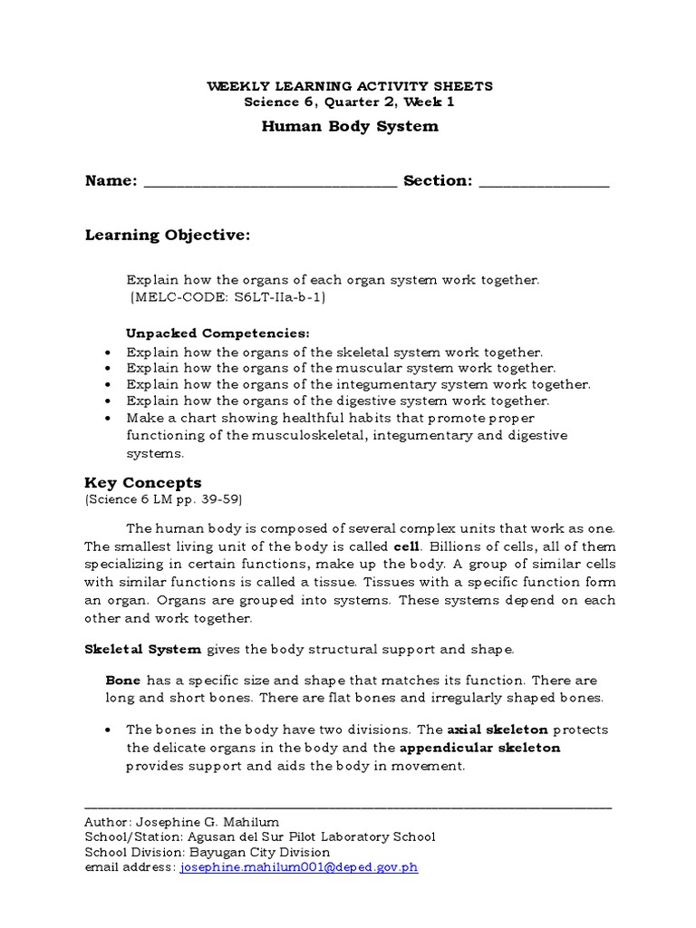 S6 - Las - Q2 - Week 1 | PDF | Skin | Integumentary System