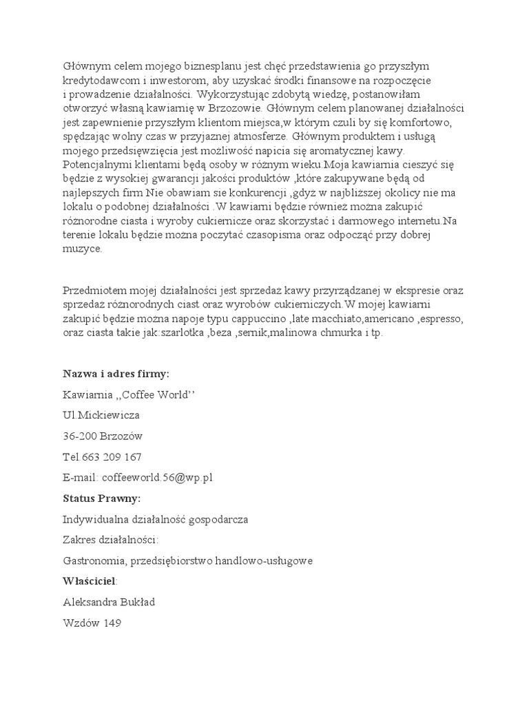 Biz Nes Plan | PDF
