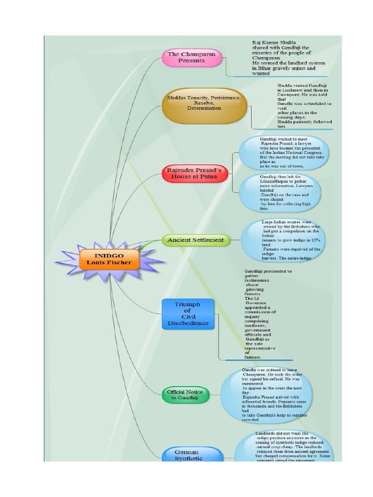 Indigo Mind Map | PDF