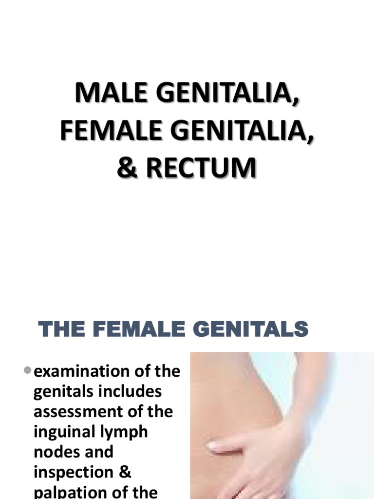 15 Holistic Nursing Assessment - Genitals, Rectum | PDF | Vagina | Penis