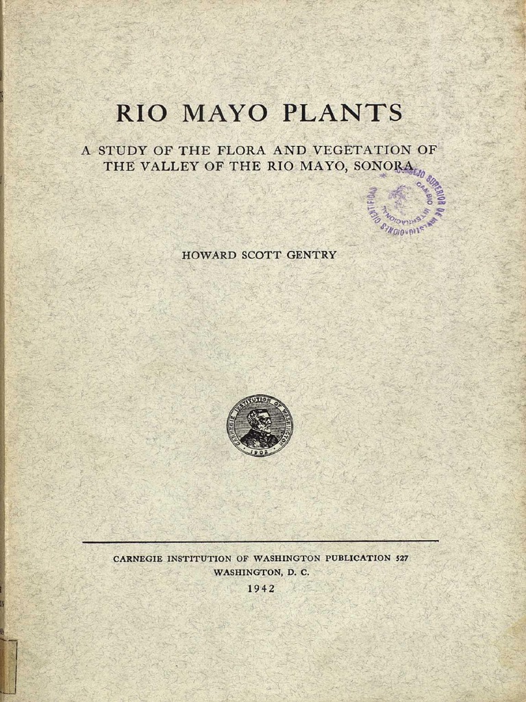 Río Mayo Plants | PDF | Rain | River