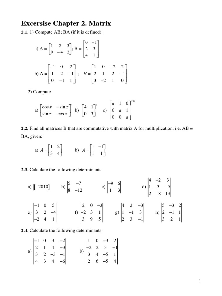 Excercise Ch1 Matrix | PDF | Matrix (Mathematics) | Determinant