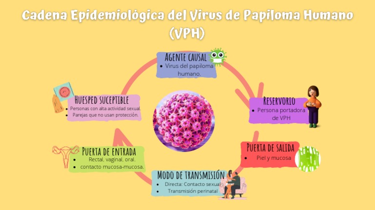 Cadena Epidemiológica Del Virus de Papiloma Humano (VPH) | PDF