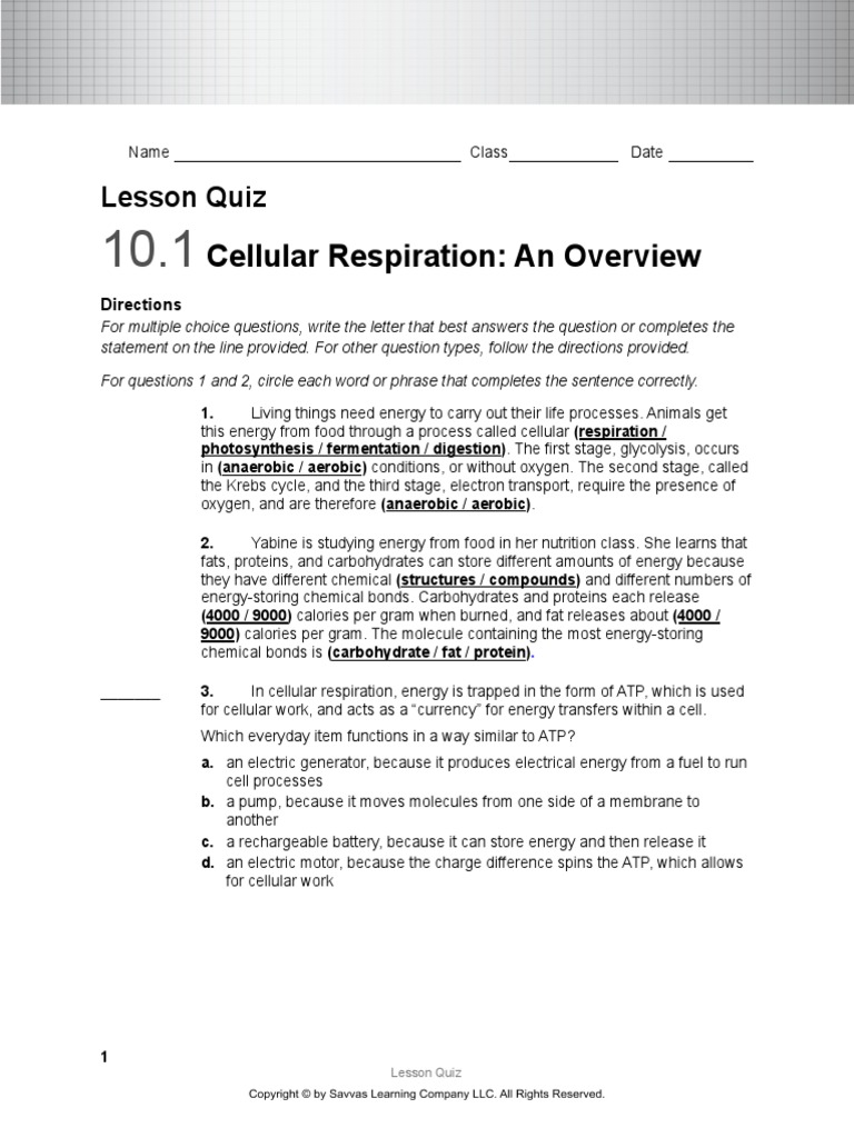 BIO CH10 L01 Quiz | PDF