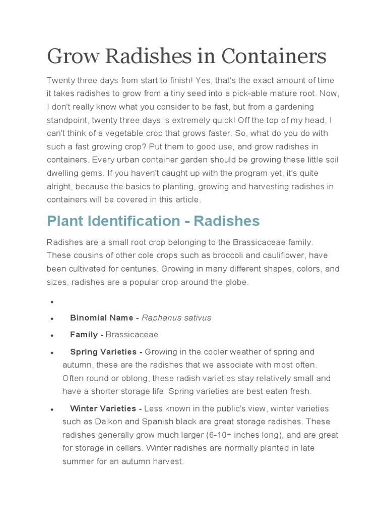 Growing Radishes in Containers: A Guide to Planting, Caring For, and Harvesting this Versatile ...