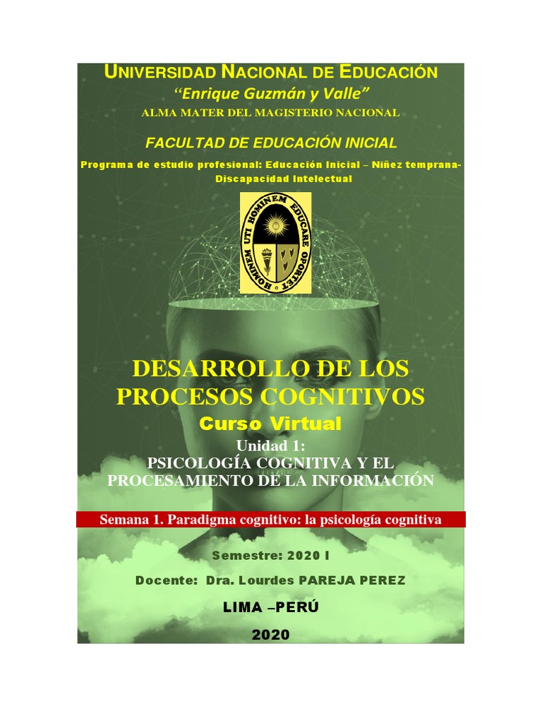 Paradigma Cognitivo - Psic Cog | PDF | Sicología | Psicología cognitiva