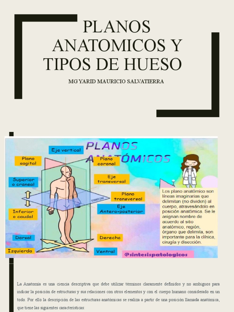 Planos Anatomicos y Tipos de Hueso | PDF