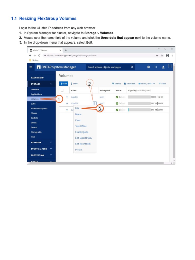 NetApp Resize Volume Steps | PDF