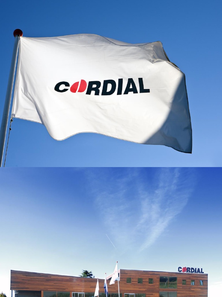Cordial Adhesives Overview and Applications | PDF | Adhesive | Starch