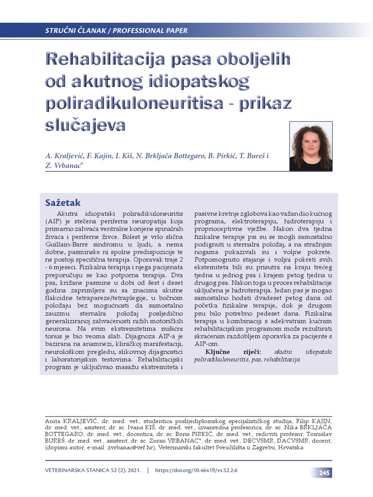 Kraljević - Rehabilitacija Pasa | PDF