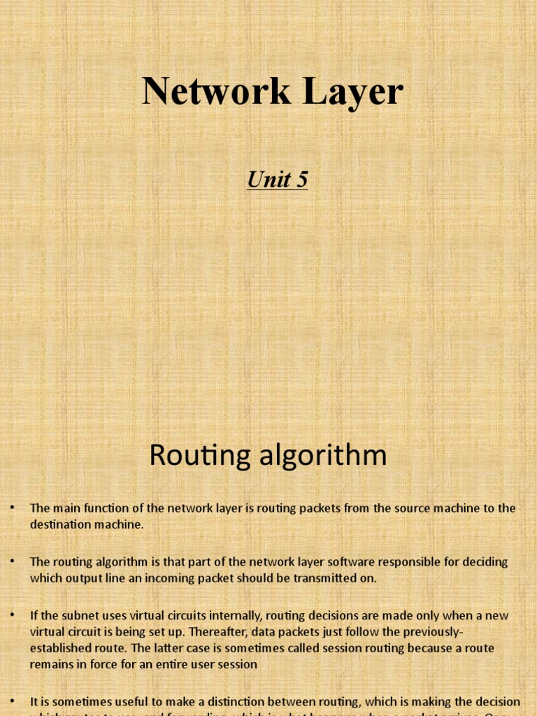 Routing Algorithms and Protocols: An Overview of Network Layer Concepts | PDF | Routing | Ip Address
