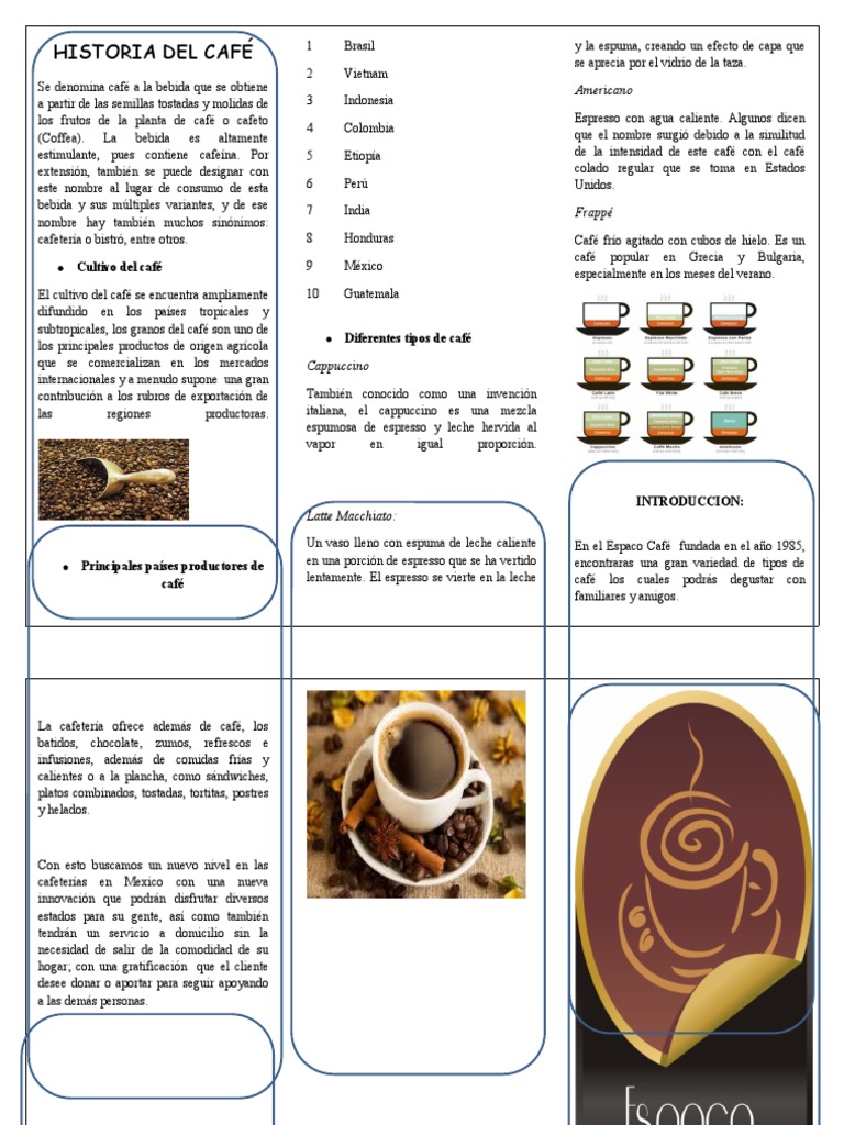 Triptico Sobre El Cafe | PDF | café | Bebida