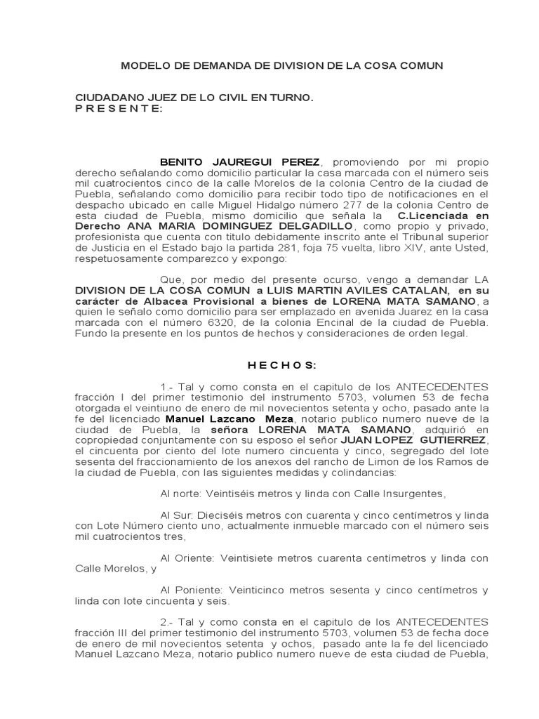 Demanda de Division de La Cosa Comun | PDF | Justicia | Crimen y violencia