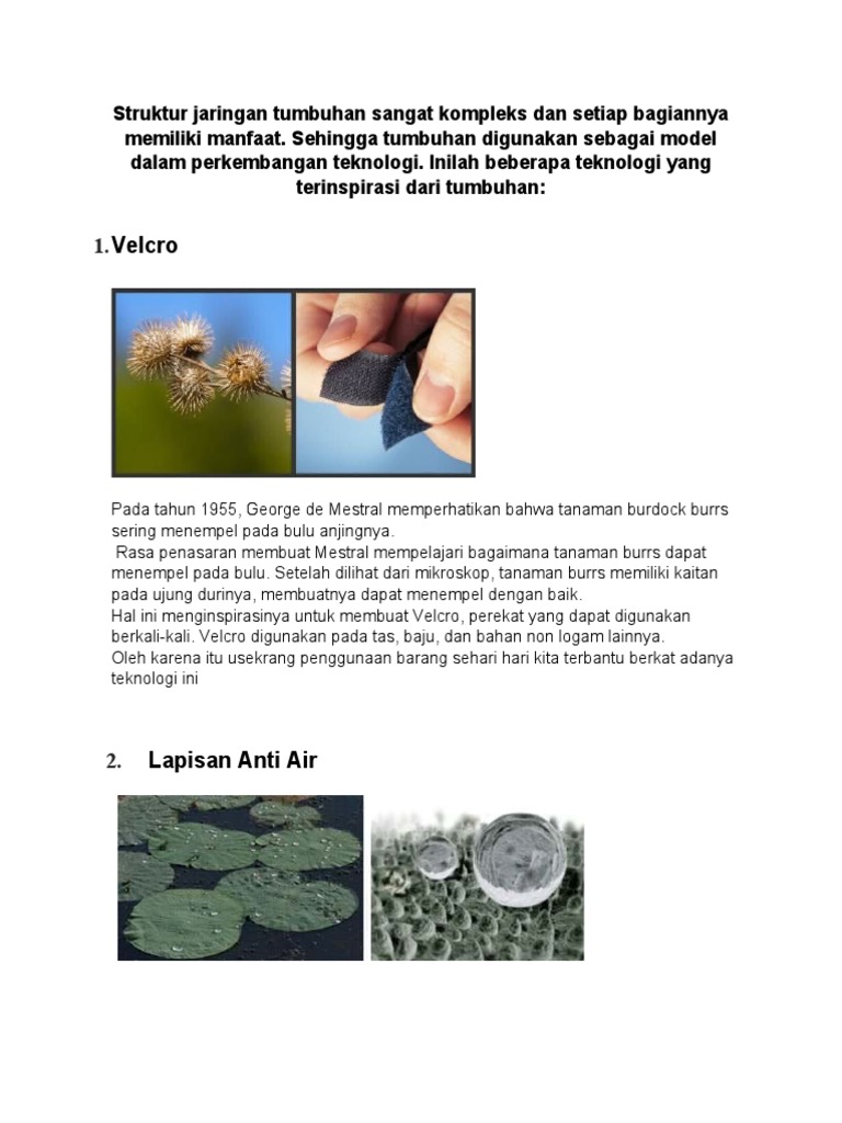 ARTIKEL IPA KLS 8 (Teknologi Yang Terinspirasi Dari Tumbuhan) | PDF ...