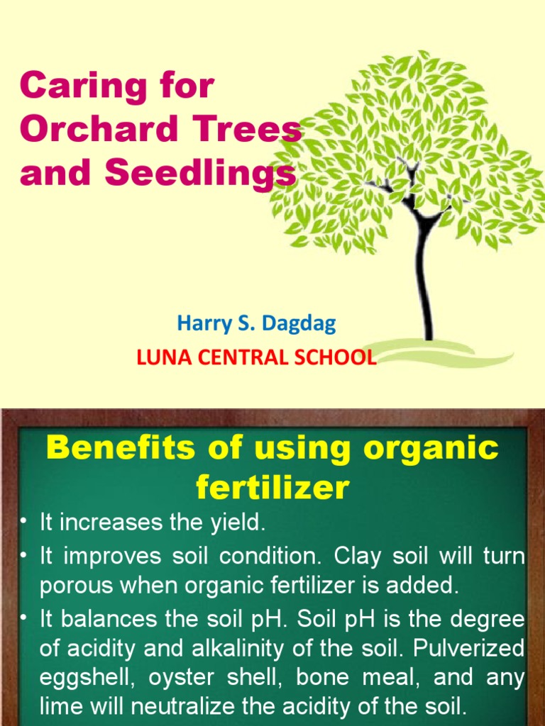 Caring For Orchard Trees and Seedlings Part 2 | PDF | Soil | Compost