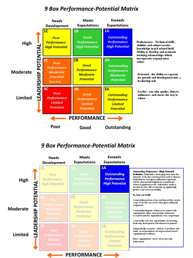 9-Box Performance Matrix | PDF | Leadership | Behavior