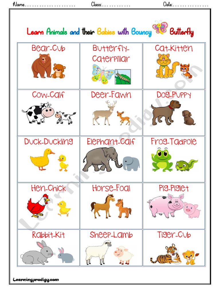 Animals and Their Babies Guide | PDF