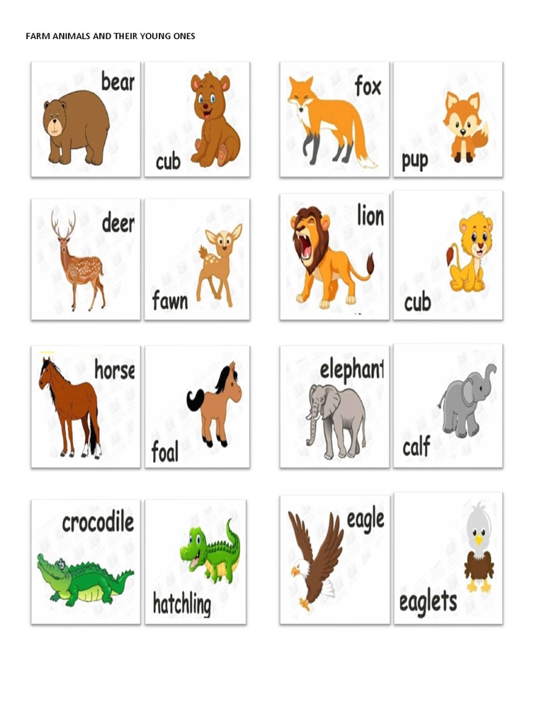 Mother and Baby Animals | PDF