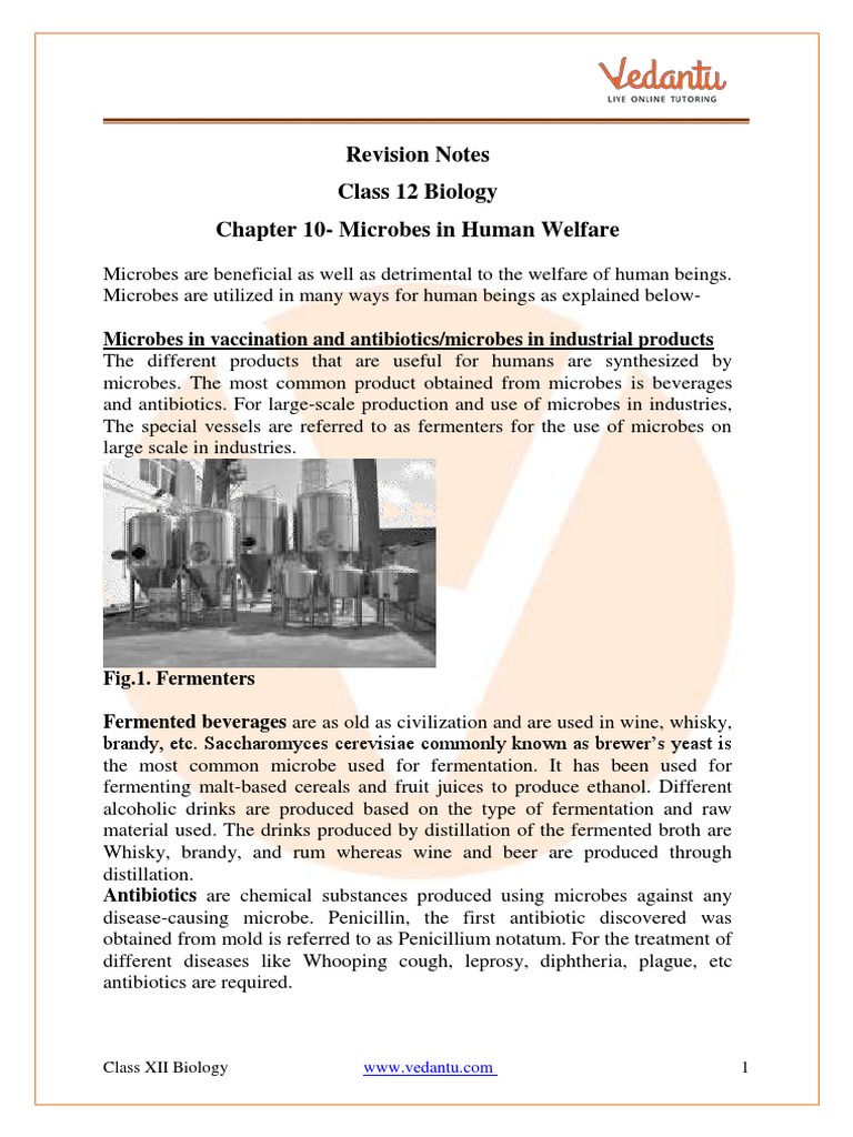 Microbes in Human Welfare Class 12 Notes CBSE Biology Chapter 10 (PDF ...