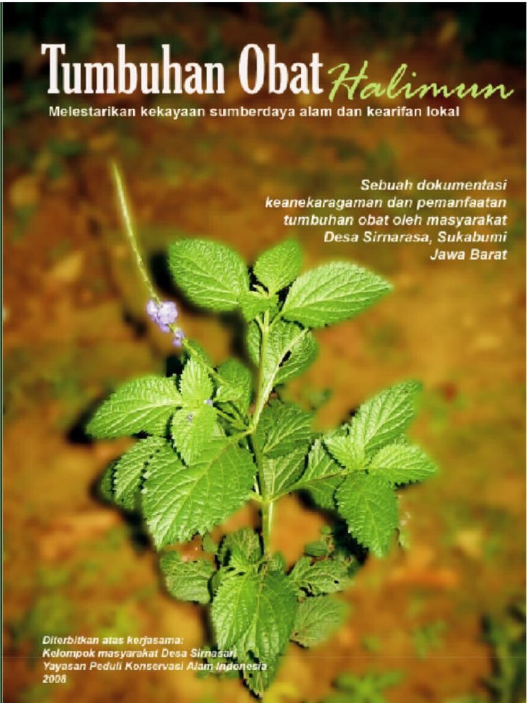 Buku Tanaman Obat | PDF