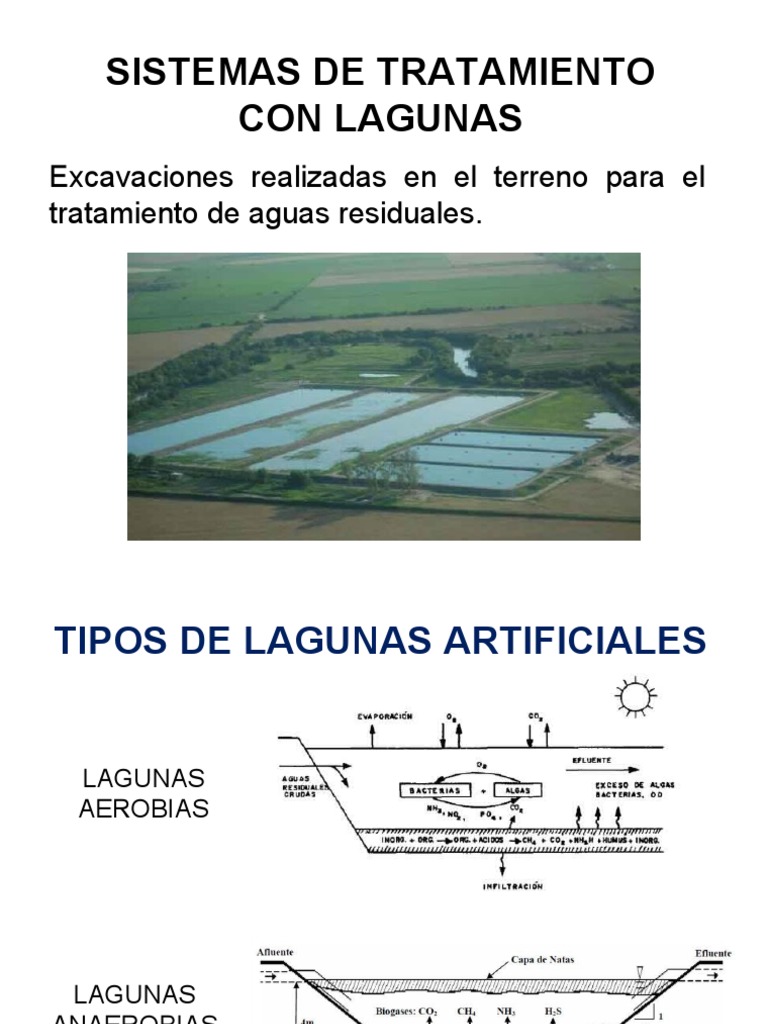 Tratamiento de Aguas con Lagunas Artificiales | PDF | Las bacterias ...
