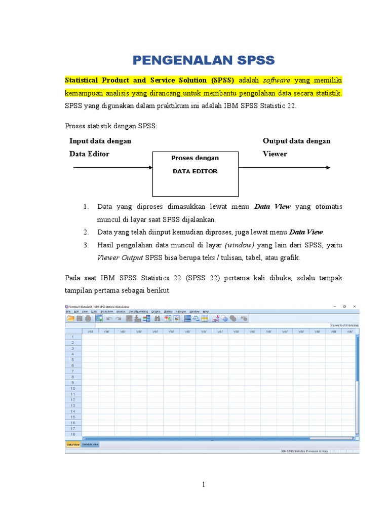 Pengenalan SPSS & Statistic Descriptive | PDF