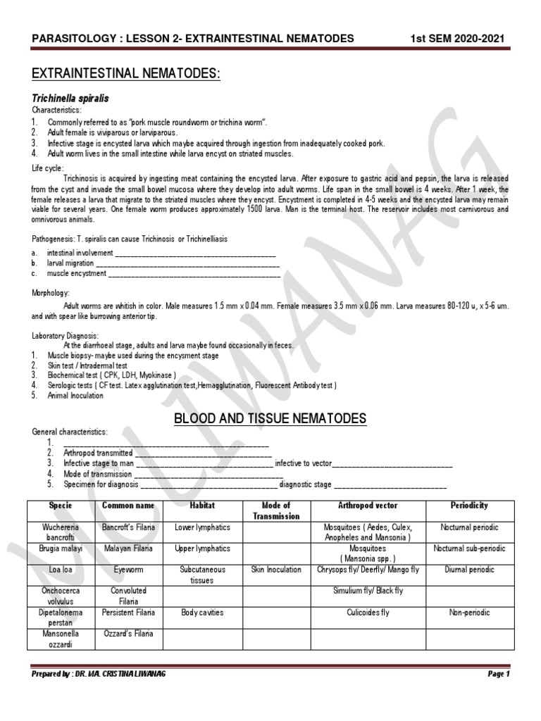 Extraintestinal Nematodes Overview | PDF | Causes Of Death | Animals ...