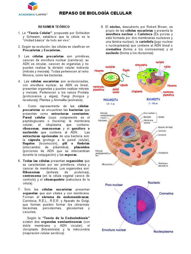 Repaso de Biología Celular: Teoría y Estructuras | PDF | Libros para ...