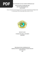 LP DSS Dengue Shock Syndrome Ruang Icu | PDF