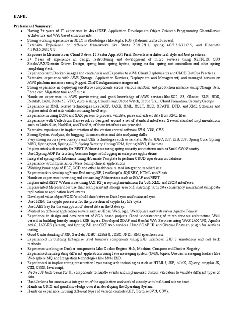 Kapil: Professional Summary | PDF