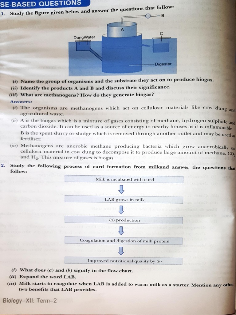 Chapter10 Biology | PDF