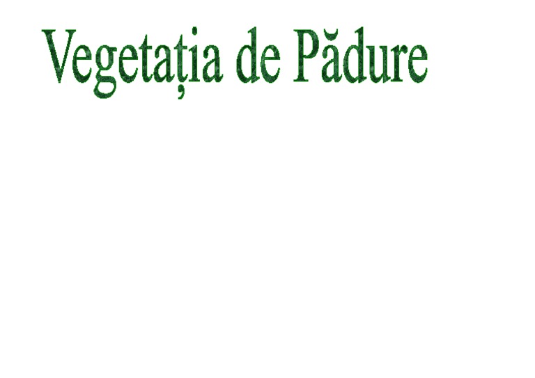 Vegetatia de Padure | PDF